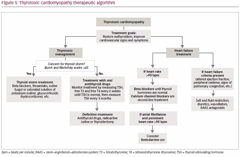 Thyrotoxic Cardiomyopathy State Of The Art Touchendocrinology